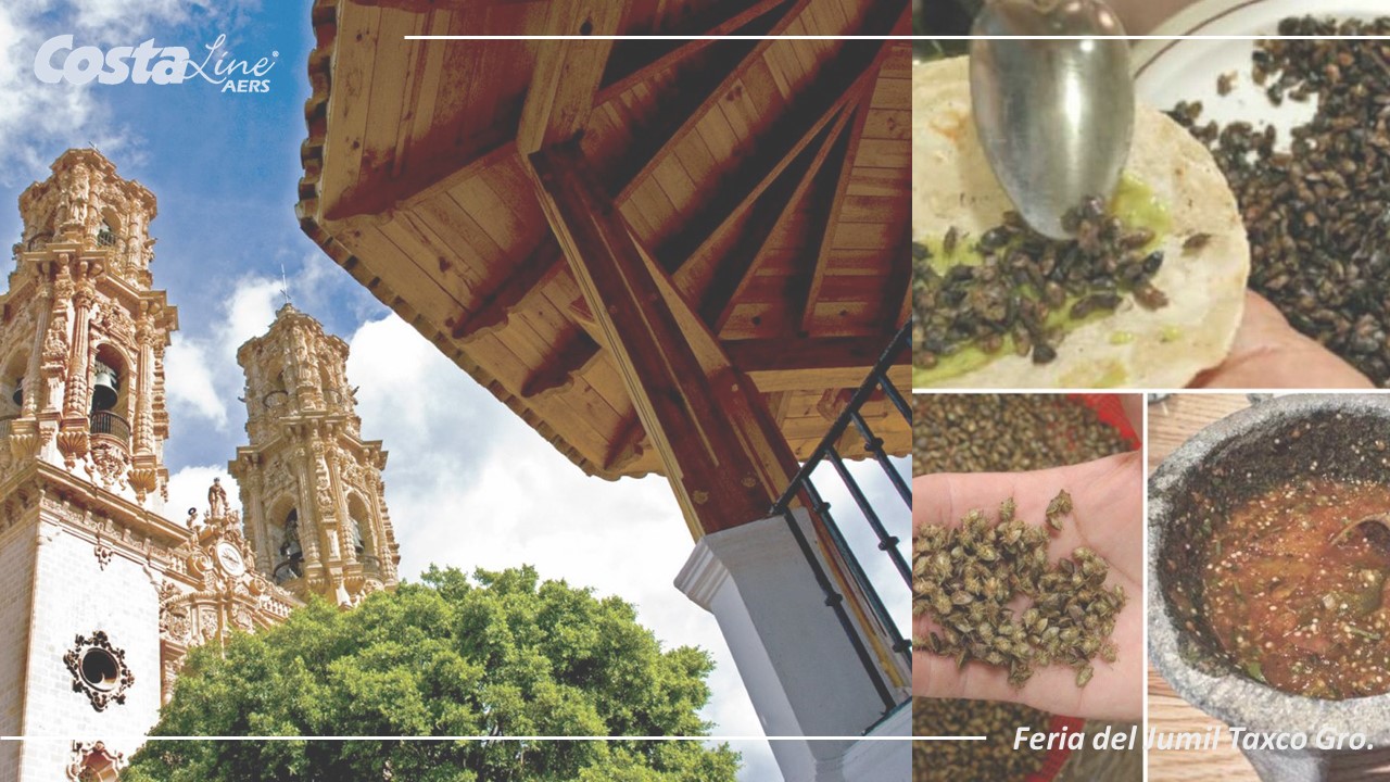 La Feria del Jumil - Blog AERS Costaline